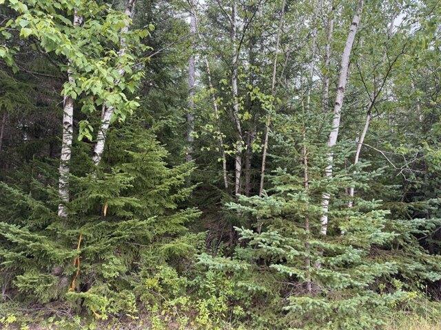 Redoubt Hill Rd, Eastport, Plot For Sale