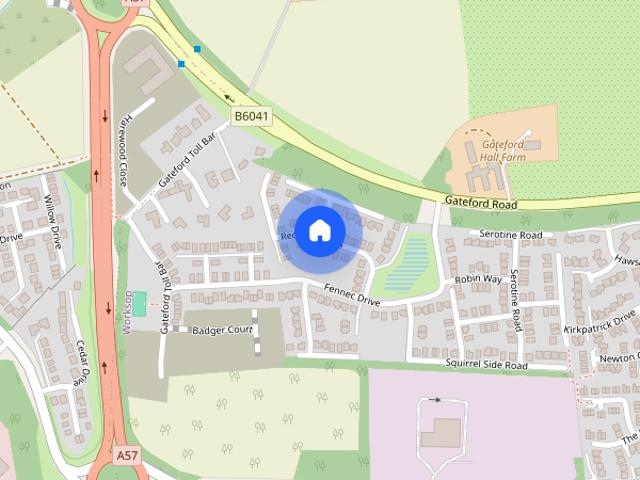 Redstart Place, Worksop, S81