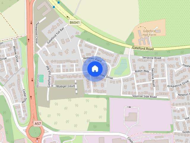 Redstart Place, Nottinghamshire, S81
