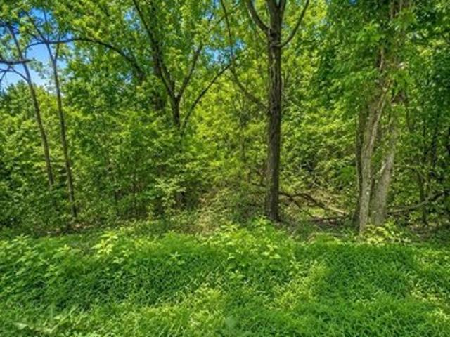 Reeves St, Lexington, TN 38351