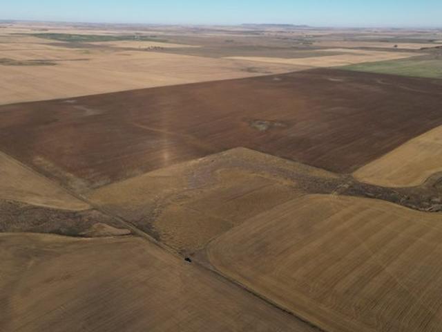 Reeder, ND 58649