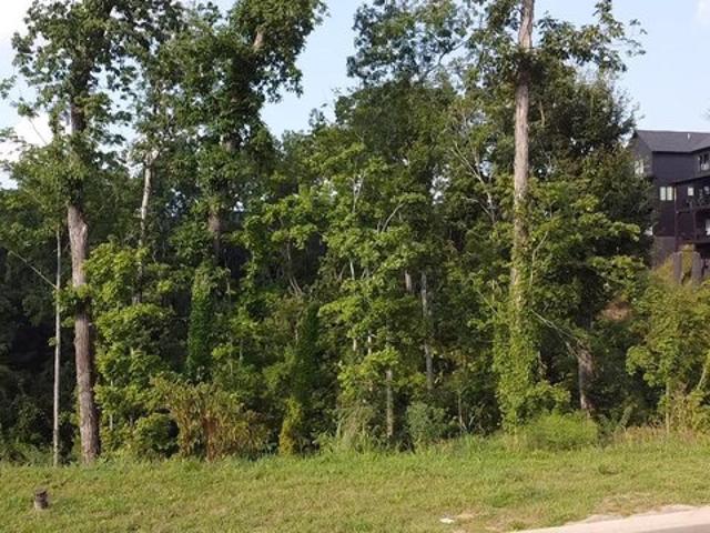 Reedmont Way Lot 144, Sevierville, TN 37876