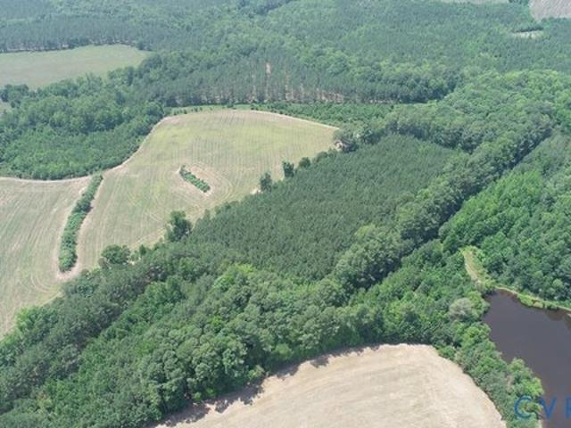 Reedy Branch Rd, Kenbridge, VA 23944