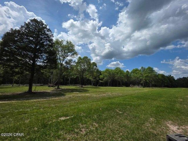 Reedy Creek Xing Lot 54, Westville, FL 32464