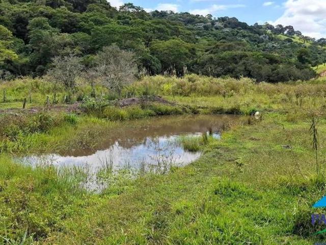 Refúgio Natural em Paraisópolis: Terreno com várias Nascentes