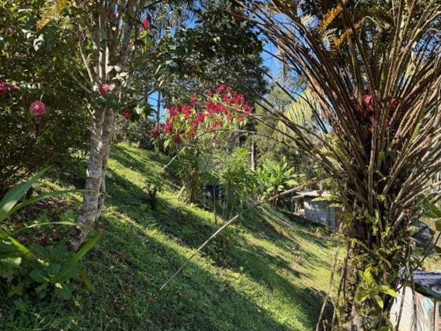 Refúgio Aconchegante com Vista e Pomar em 7.500 m²
