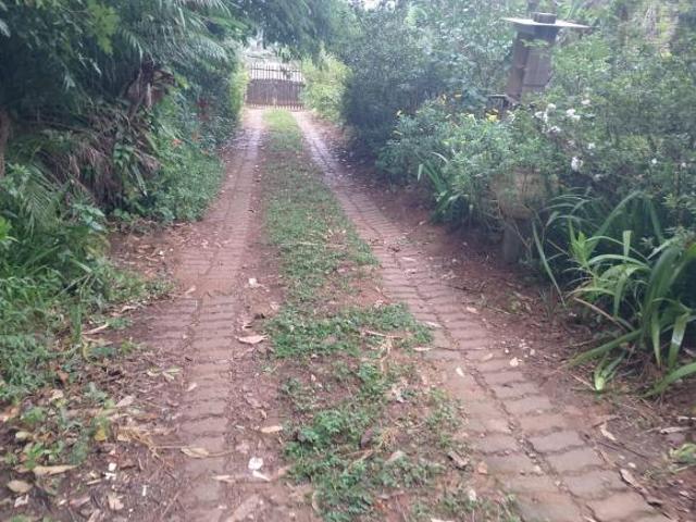 Refúgio de Tranquilidade com Três Residências, Piscina e Poços em Amplo Terreno de 3 Mil Metros Quad