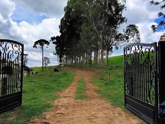 REFÚGIO DO CAMBUÍ – SA SUA OPORTUNIDADE DE OURO NA MANTIQUEIRA!
