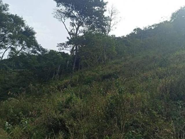 Refúgio dos Sonhos em São Francisco Xavier 20.000m² com Vista Deslumbrante