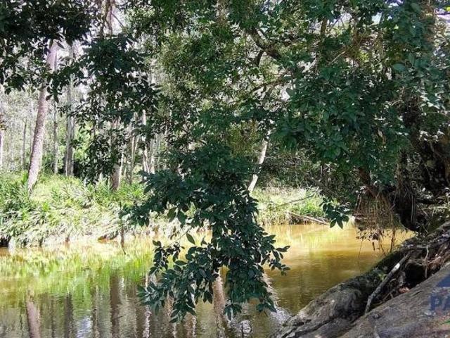 Refúgio Exclusivo na Mantiqueira: 12.000m² às Margens do Rio Capivari