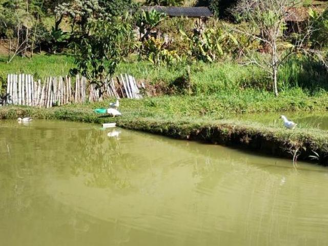 Ref.:150| Sítio com 30.000m² em Paraibuna SP
