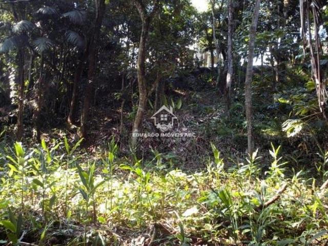 REF:9052 Terreno para Venda no bairro Eldorado. Excelente oportunidade!