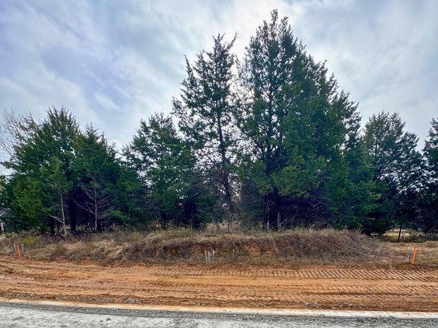 Reflection Bay Blvd Lot 2, Gordonville, TX 76245