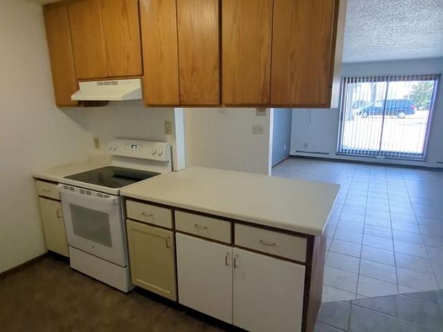 Regency East Apartments 3 Bedroom Apartment for Rent at 28 3rd Ave Ne, St. Cloud, MN 56304 Lincoln School