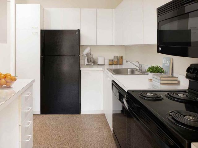 Regents Park 1 Bedroom Apartment for Rent at 5035 S East End Ave, Chicago, IL 60615 Kenwood