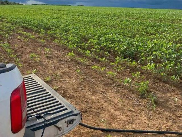 Região Muito Procurada: Lotes Amplos com Excelente Potencial de Crescimento