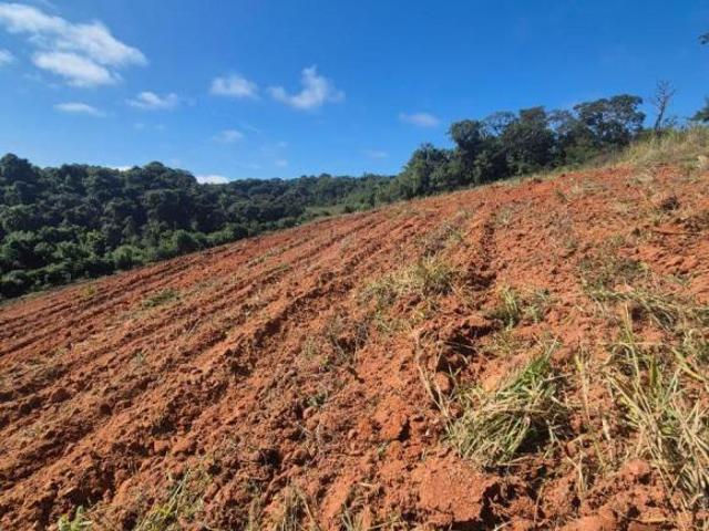 Região tranquila e cercada pela natureza