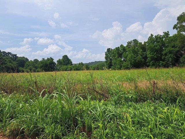 Reindeer Rd, Granby, MO 64844