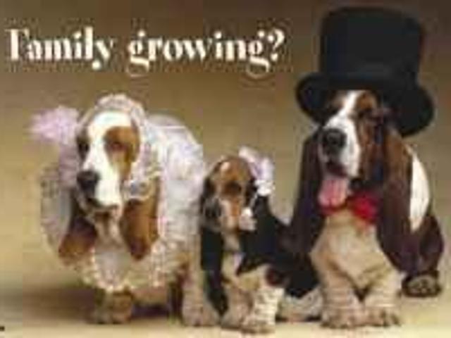 Relocating to MD? Get Rentals as they arrive on the Market! www.rentalhomesinmaryland.com