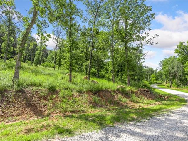 Restore Rdg Lot 45, Harrison, AR 72601