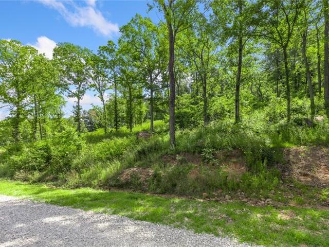 Restore Rdg Lot 46, Harrison, AR 72601