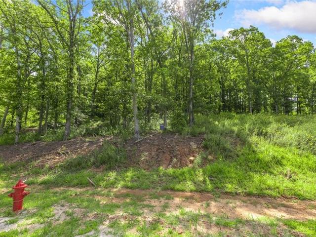 Restore Rdg Lot 64, Harrison, AR 72601