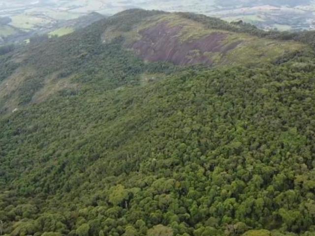 Reserva à venda, na Estrada da Montueira, Carmópolis de Minas MG