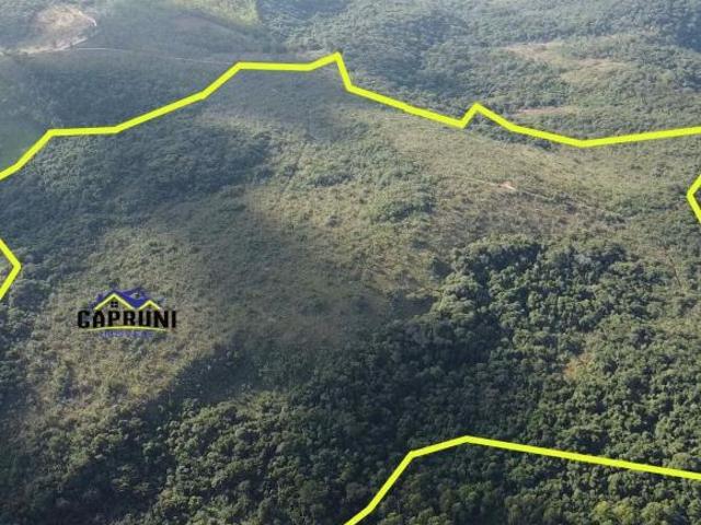 Reserva Ambiental à Venda, Mata do Cedro, Carmópolis de Minas, MG