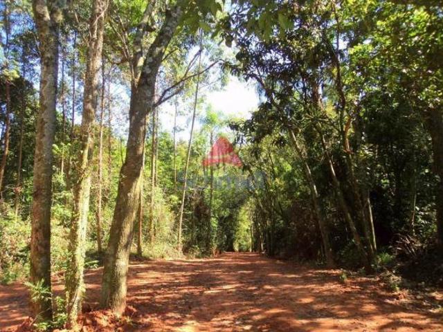 Reserva dos Imigrantes Terreno à venda, 2500 m² por R$ 255.000,00 Fazenda São Borja São Leopol