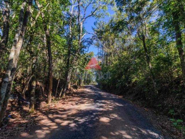 Reserva dos Imigrantes Terreno à venda, 3000 m² por R$ 230.000,00 Fazenda São Borja São Leopol