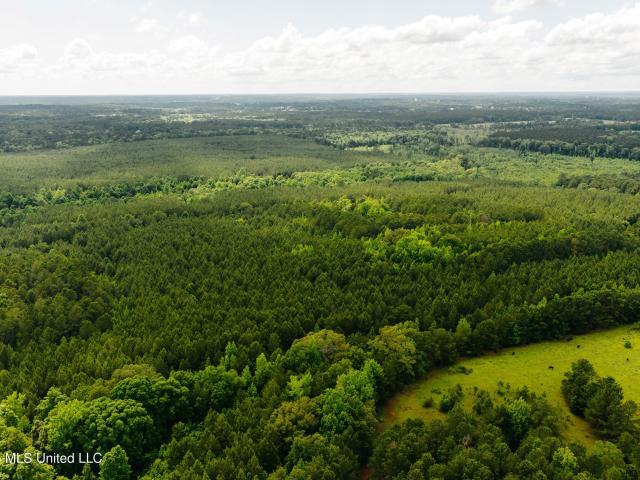 Reservation Road, Philadelphia, MS 39350