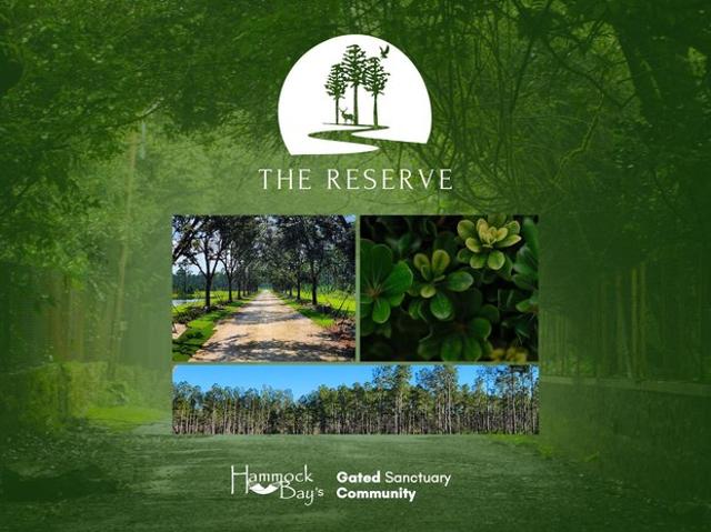 Reserve at Hammock Bay Lot 8, Freeport, FL 32439