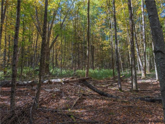Reservoir Hill Rd, Norwich, NY 13815 | MLS #R1638