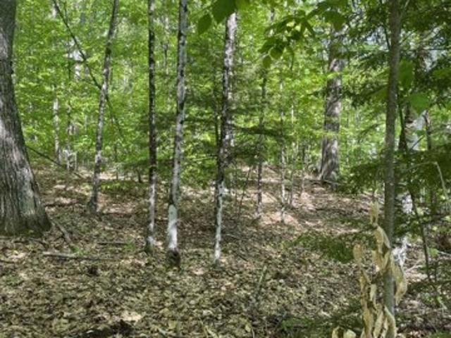 Reservoir Rd, Campton, Plot For Sale