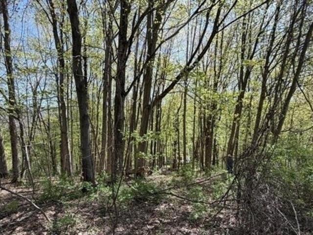 Reservoir Rd Lot A, North Adams, Plot For Sale