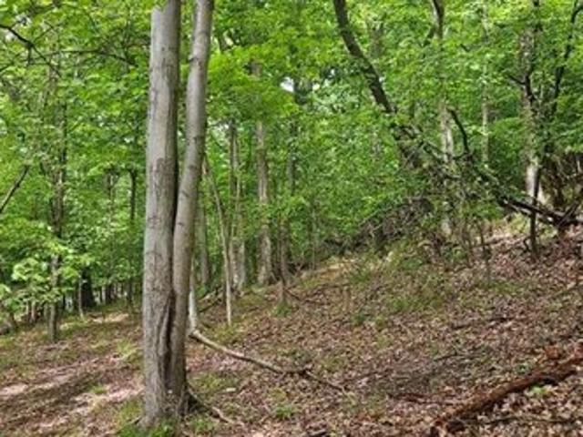 Reservoir Rd, Saltsburg, PA 15681