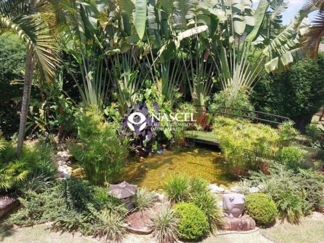 RESIDÊNCIA TÉRREA, COM 5.196m², no JARDIM DAS PALMEIRAS, OPÇÃO DE PERMUTA PERDIZES, SUMARÉ, POMPEIA