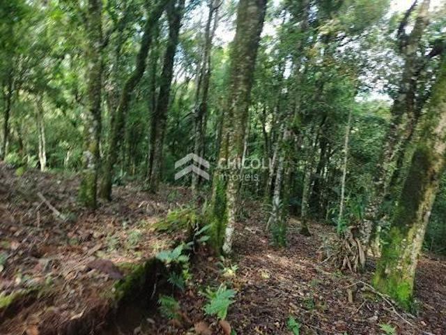 Residencial › Chácara em