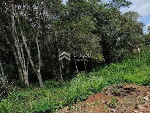 Residencial › Lote/Terreno em
