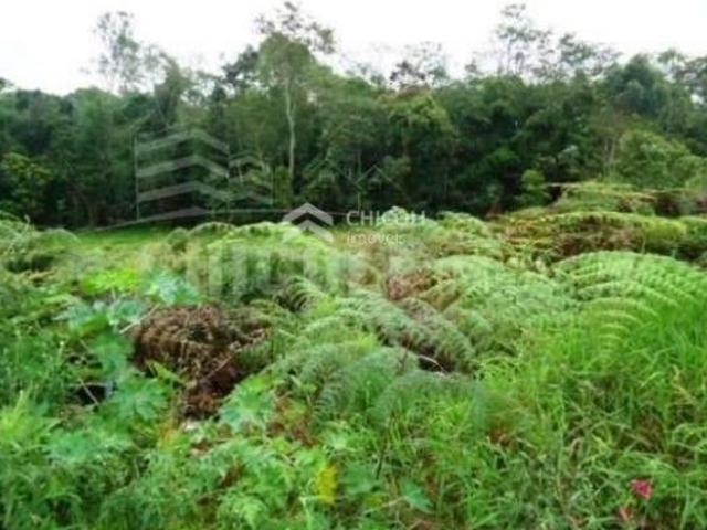 Residencial › Lote/Terreno em