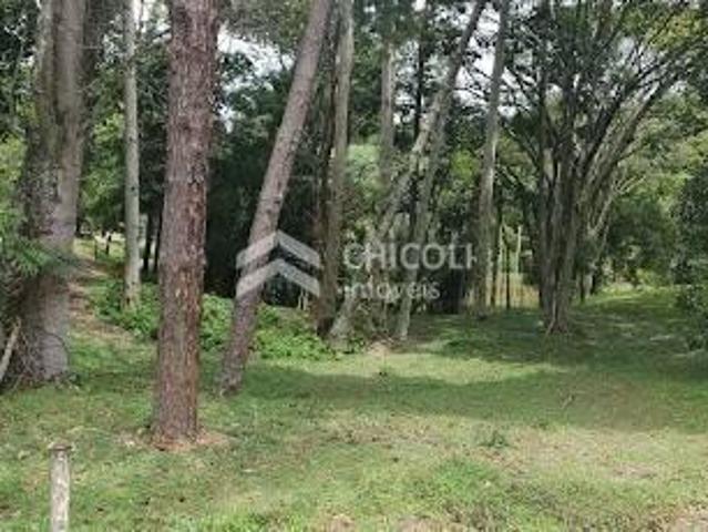 Residencial › Lote/Terreno em