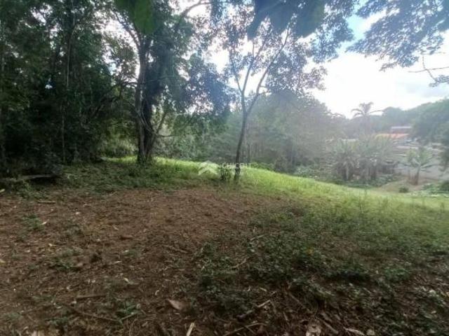 Residencial › Lote/Terreno em