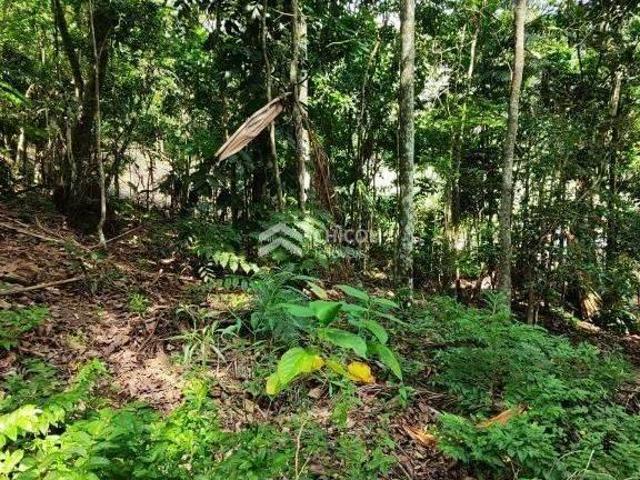 Residencial › Lote/Terreno em