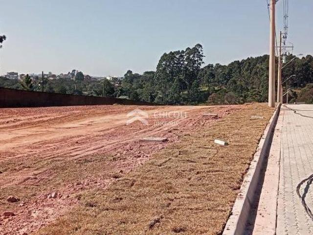 Residencial › Lote/Terreno em