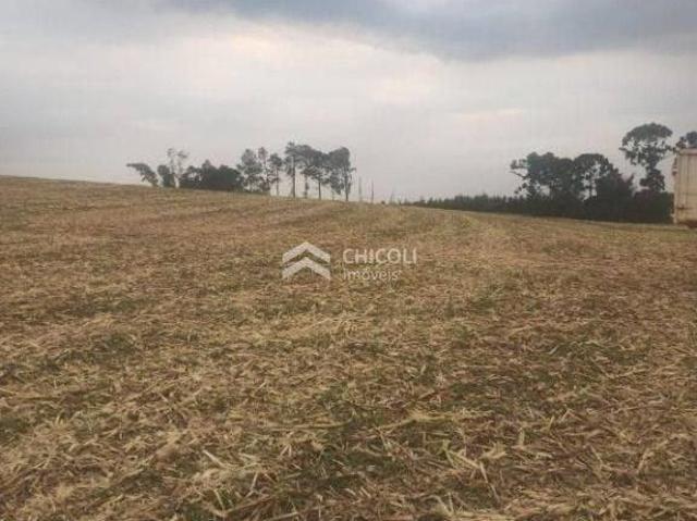 Residencial › Lote/Terreno em