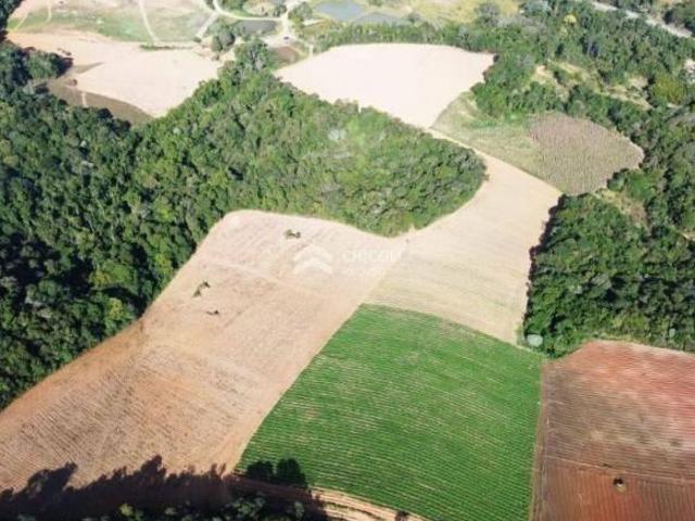 Residencial › Lote/Terreno em