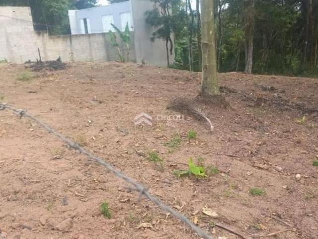 Residencial › Lote/Terreno em