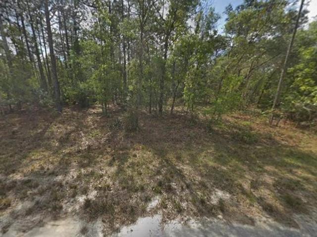 Resort Ave, Weeki Wachee, FL 34614