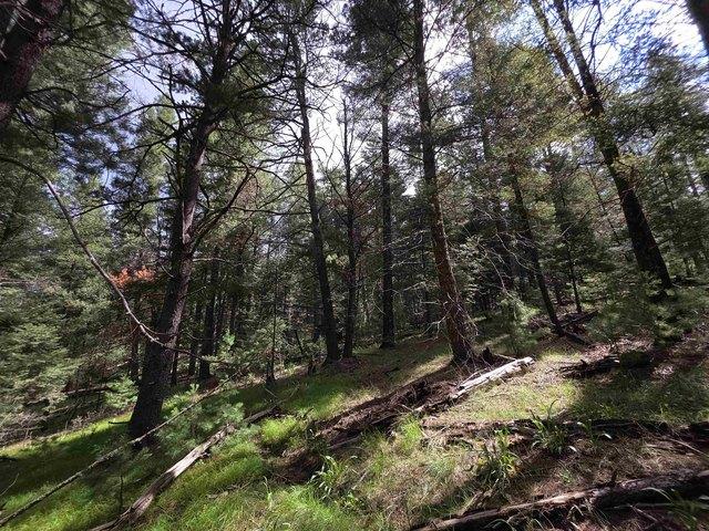 Retreat Rd, Cloudcroft, NM 88317