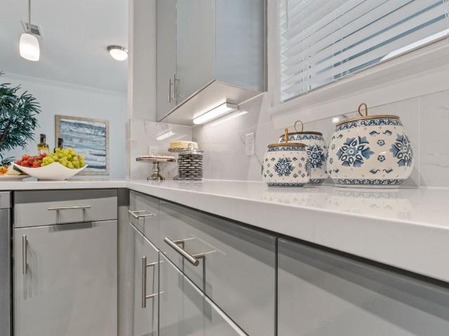 Reveal on the Lake 3 Bedroom Apartment for Rent at 1600 President George Bush Hwy, Rowlett, TX 75088